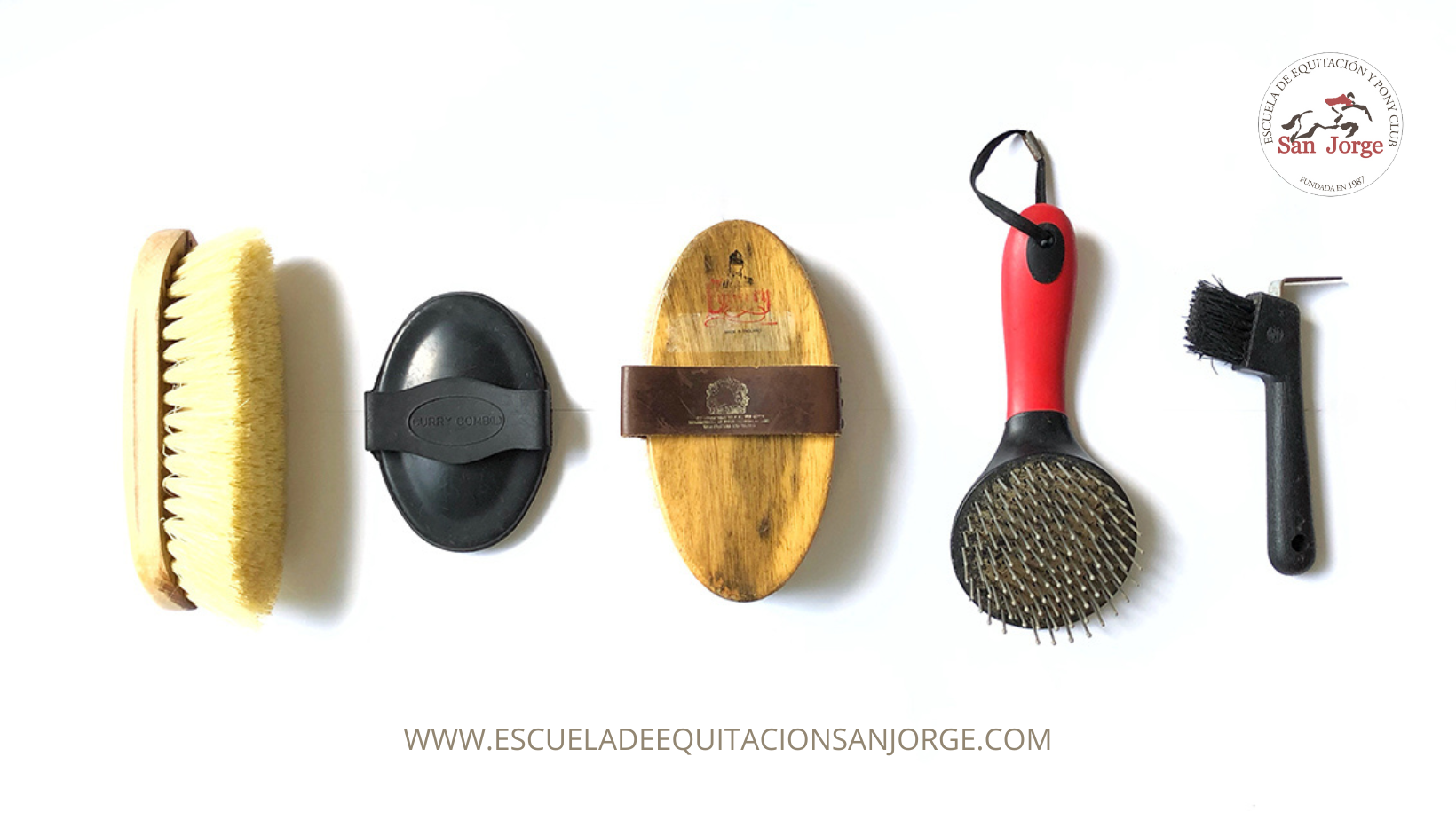 Todo lo que necesitas para cepillar a tu caballo | Escuela de ...