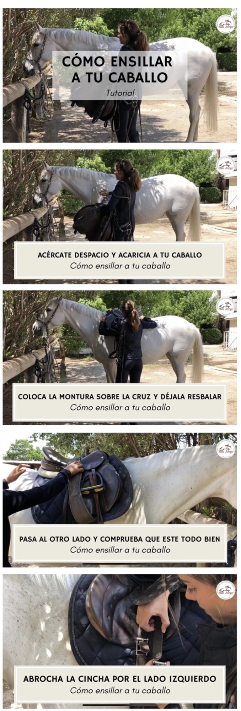 3 pasos sencillos para ensillar correctamente a tu caballo